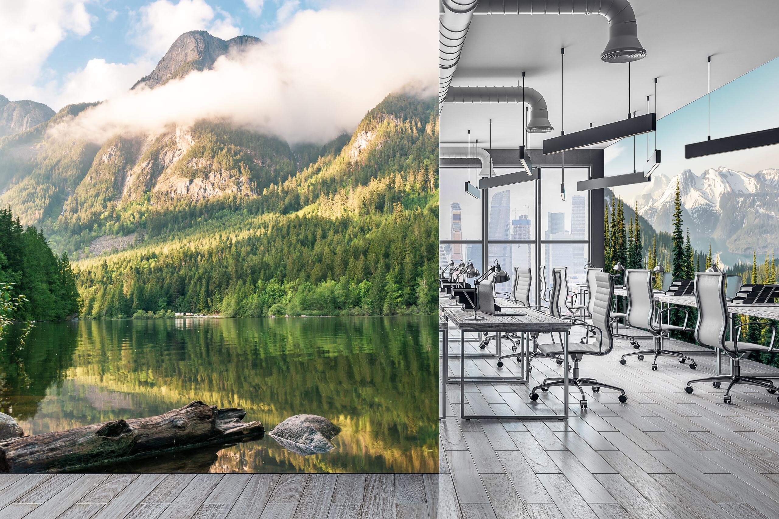 Custom Photo Wall Murals – LIFELIGHTLENS Photography